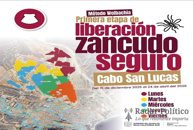 Inicia en Cabo San Lucas primera etapa del programa “ Zancudo Seguro ...